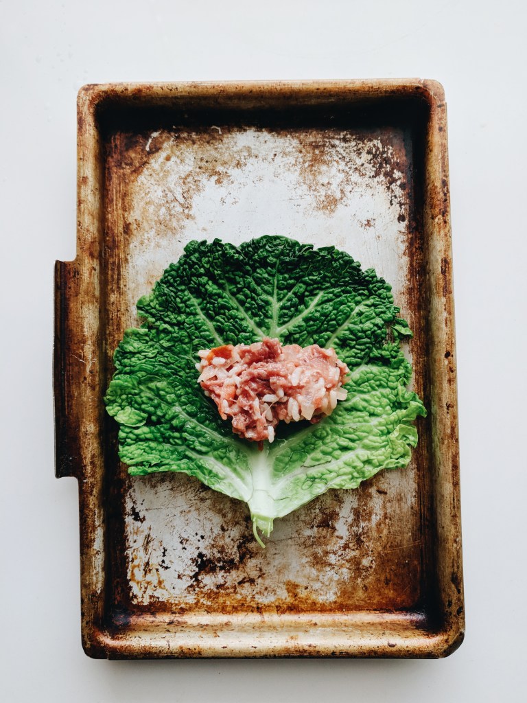 Stuffed Cabbage Rolls – Average Ariel